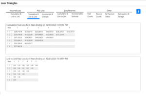 Loss Triangles for P&C Insurance | WaterStreet Company